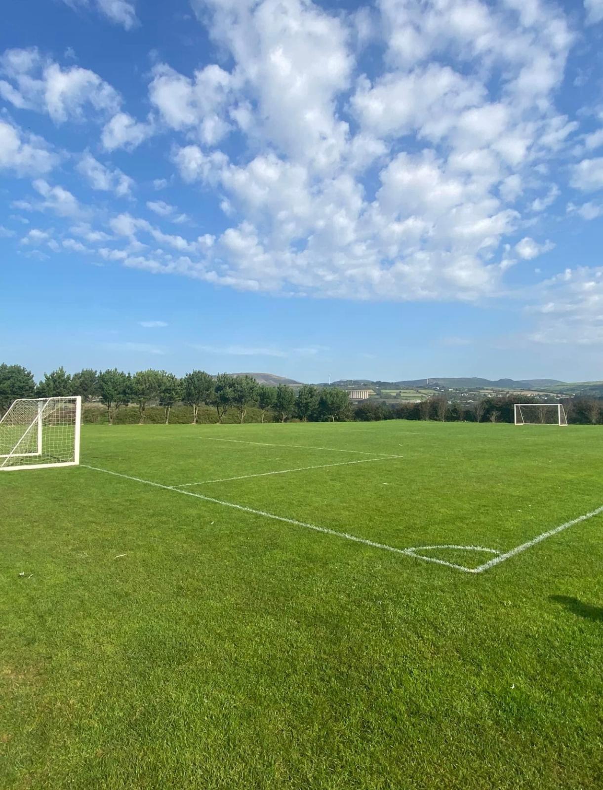 MM60 Grass Seed: A Grassroots Success Story